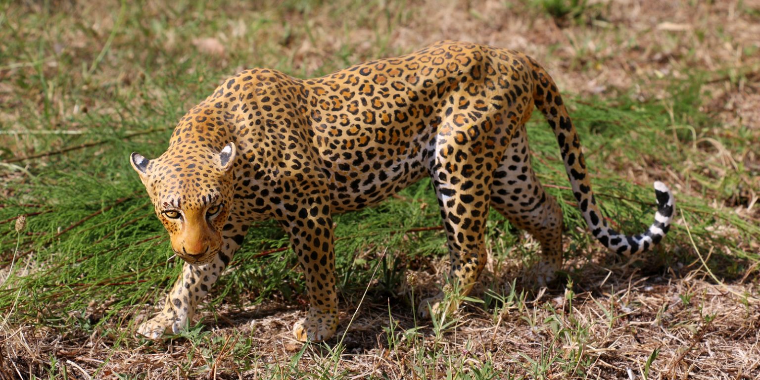 Robert DALLET – Artiste Animalier